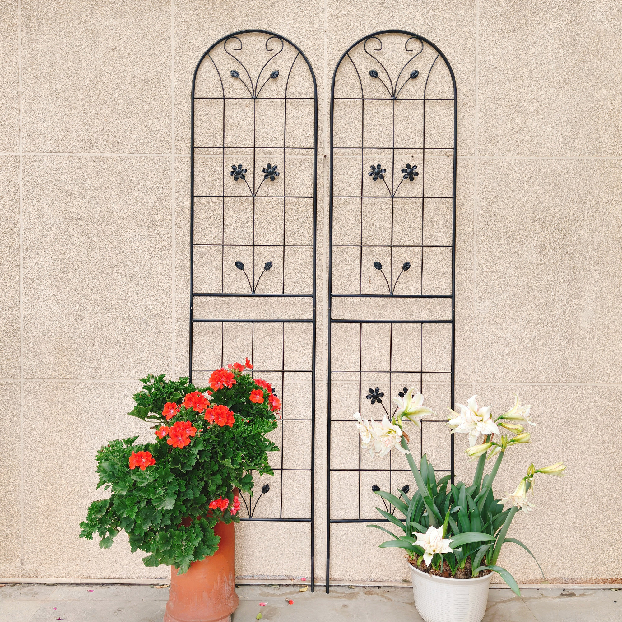 DAPPER DOODLES INC 4 Pack Metal Garden Trellis 86.7" X 19.7" Rustproof Trellis For Climbing ...